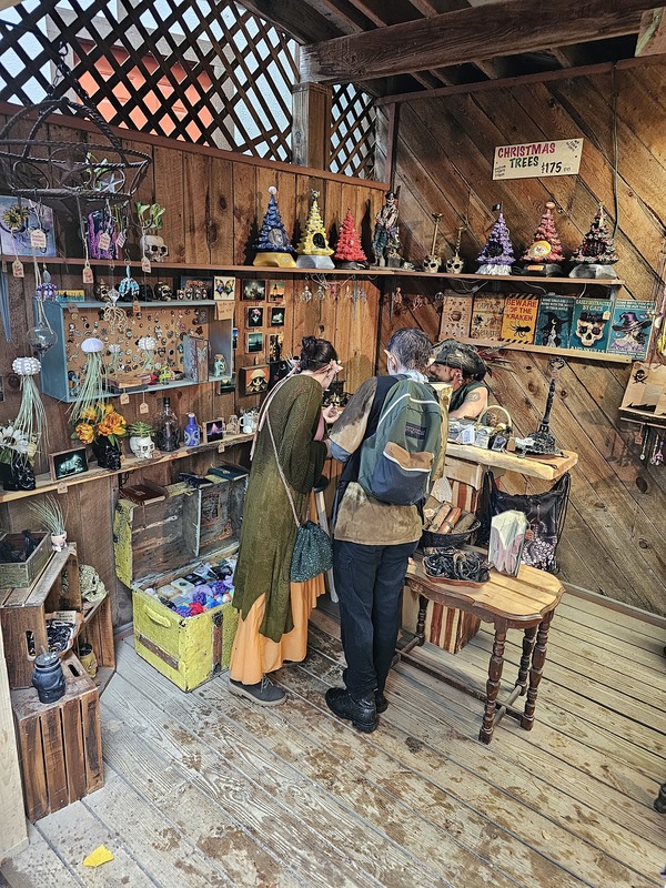 Step into the Past with St. James R-1's Medieval Club | St. James R-1 ...